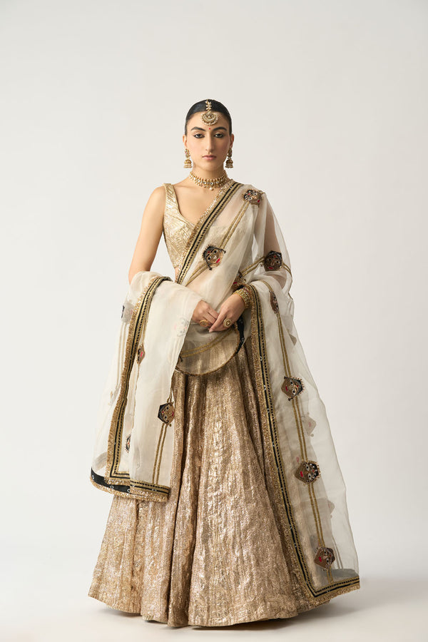 Safed Katputli Chandi Lehenga Set - Shop Sunny's Bridal